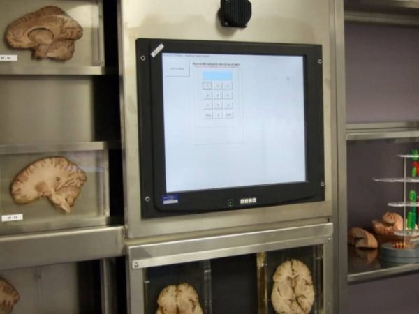 University Anatomy Lab - Industrial LCD Touchscreen Monitor